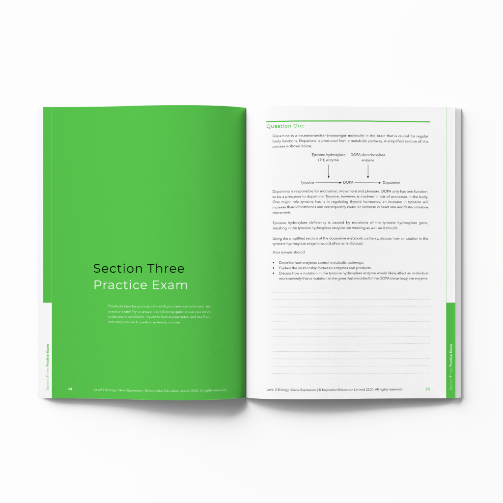 NCEA Level 2 Biology: Gene Expression Workbook - StudyTime NZ Store