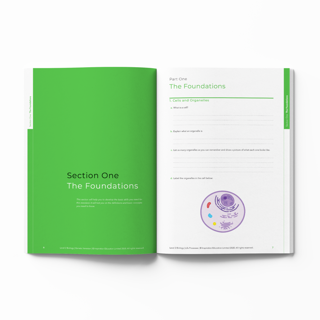 NCEA Level 2 Biology Life Processes At The Cellular Level Workbook NCEA Level 2 Biology Life Processes At The Cellular Level Workbook