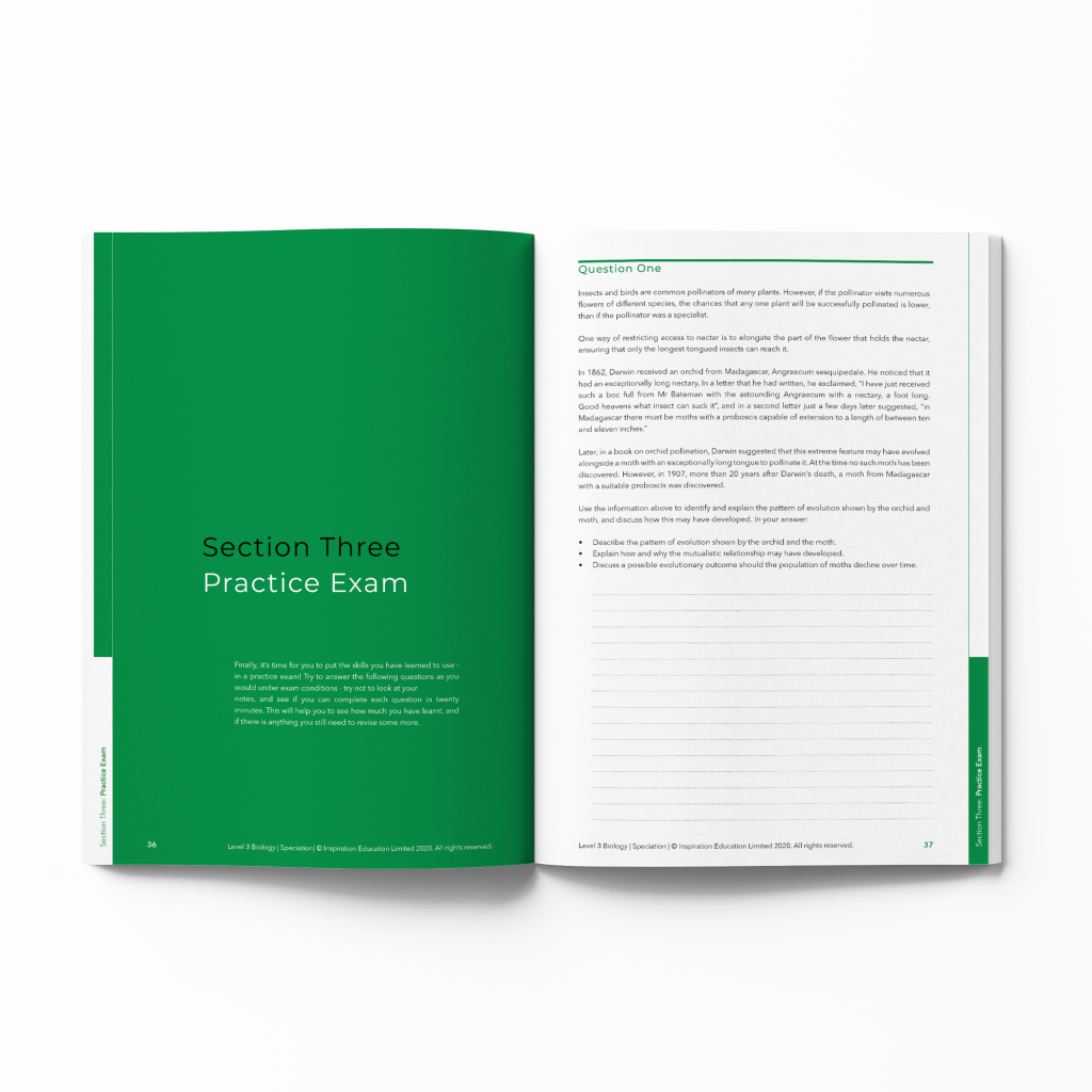 NCEA Level 3 Biology: Speciation Workbook - StudyTime NZ Store