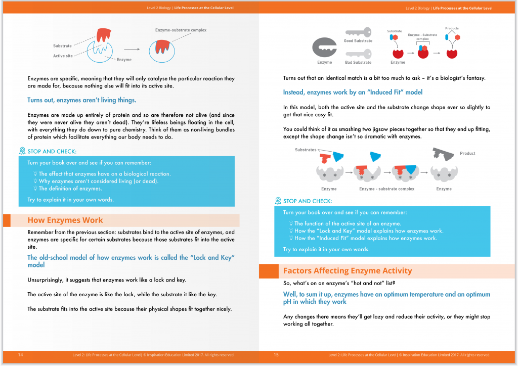 NCEA Level 2 Biology: Life Processes at the Cellular Level Guide ...