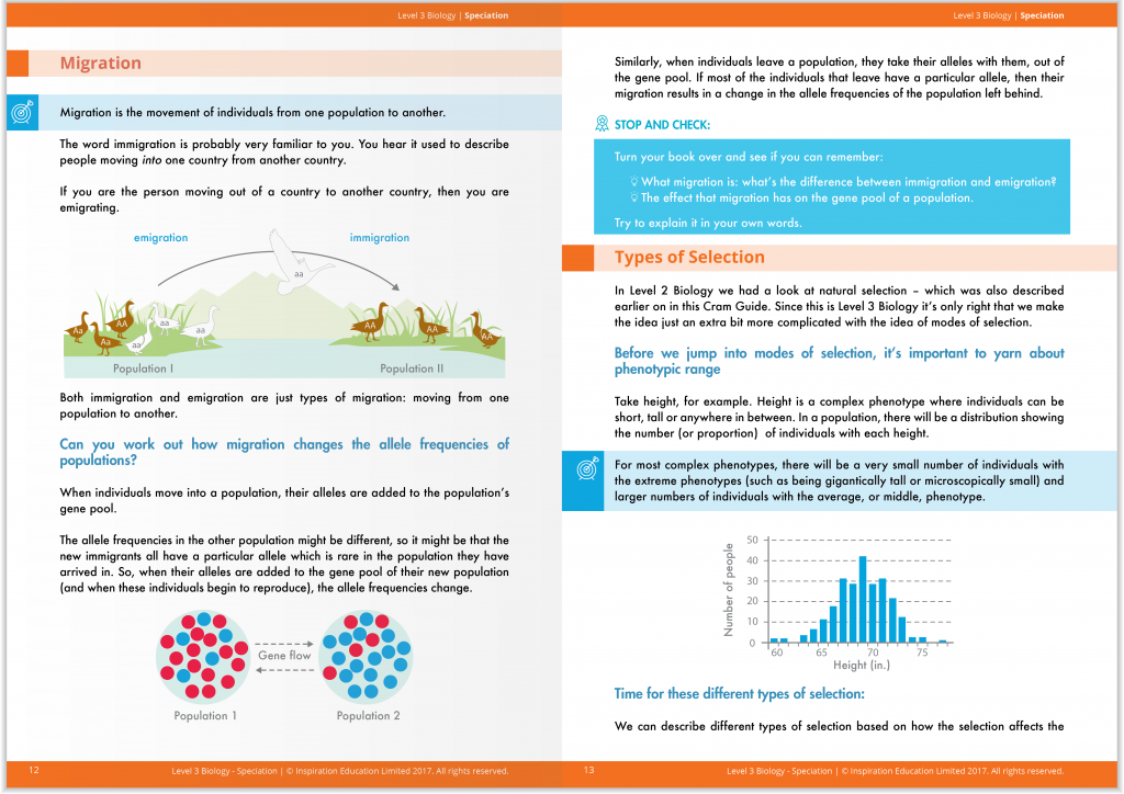 NCEA Level 3 Biology: Speciation Guide - StudyTime NZ Store
