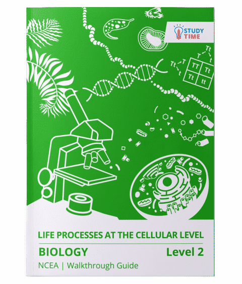 Premium NCEA Resources - StudyTime NZ Store